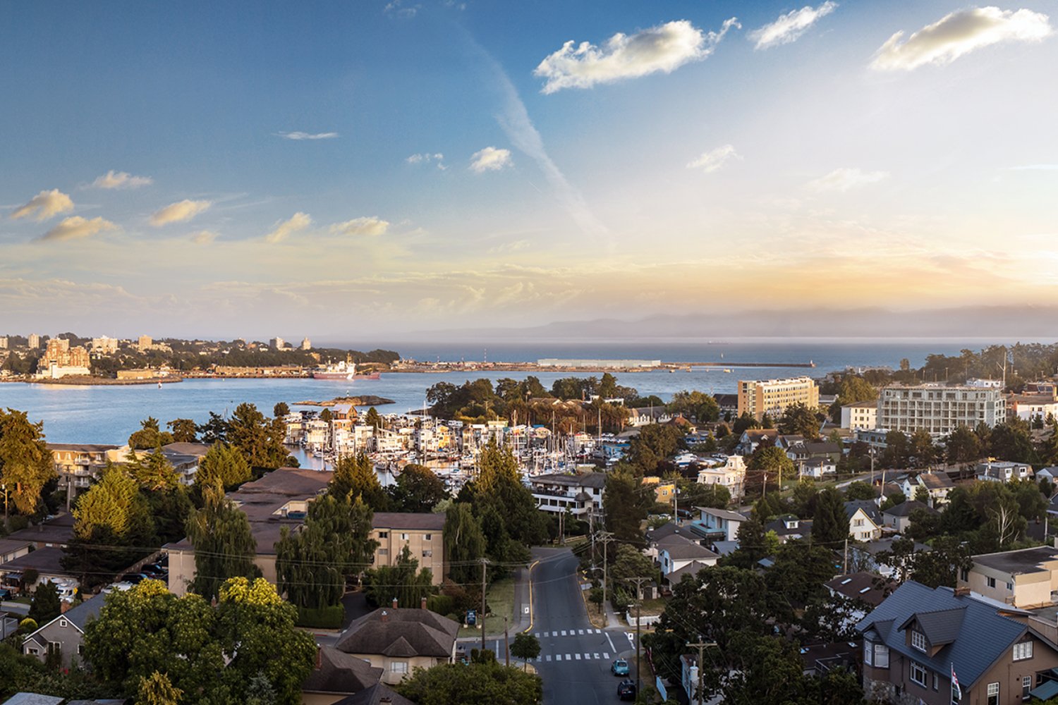 Light House - Intelligence House